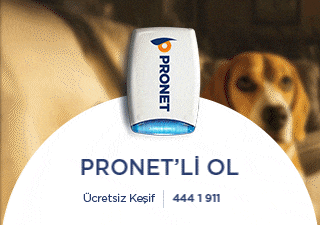 Pronet Plus ile Evine Güven | Pronet